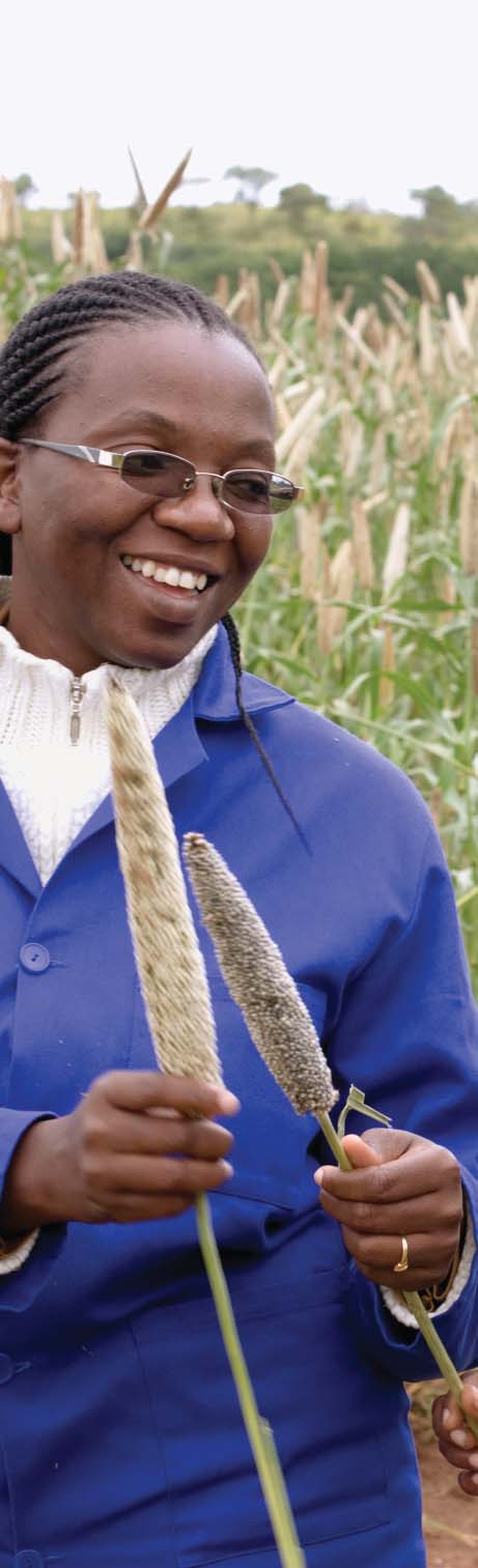 aparna jayakumar rice