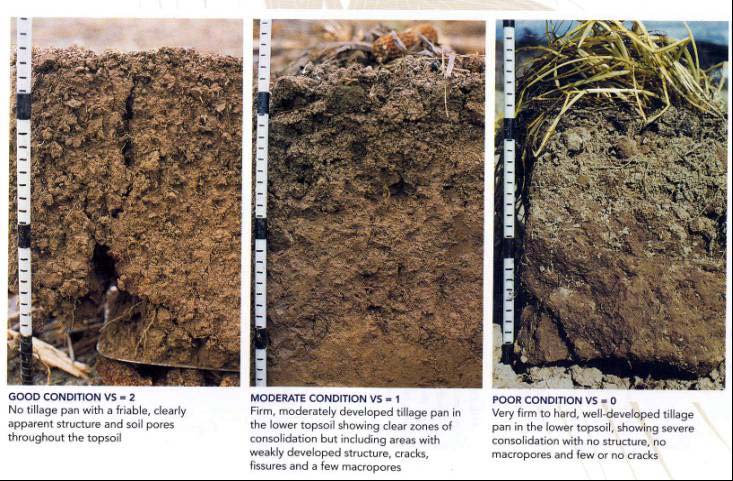 good soil structure