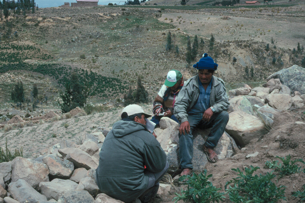 65 42 19 poor cover 1 2 9 7 23 4 bare soil 1 1 5 3 9 3 123