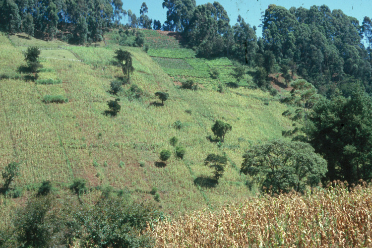 LAND_DEGRADATION_GUIDELINES_FOR_FIELD_ASSESSMENT-30_2.jpg