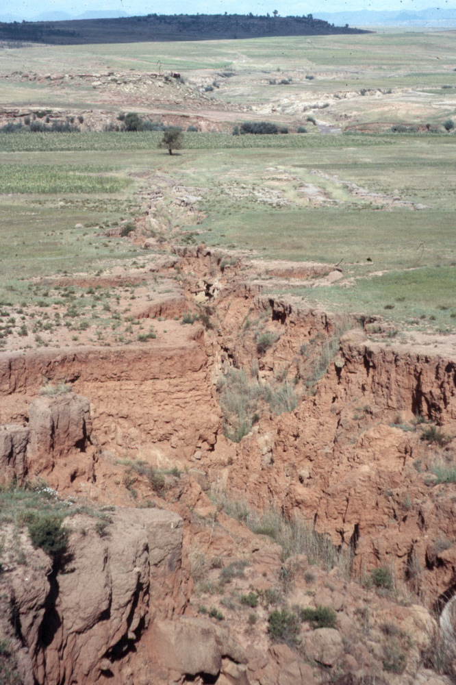 discount minimum maximum discount minimum maximum factor discounted net ...