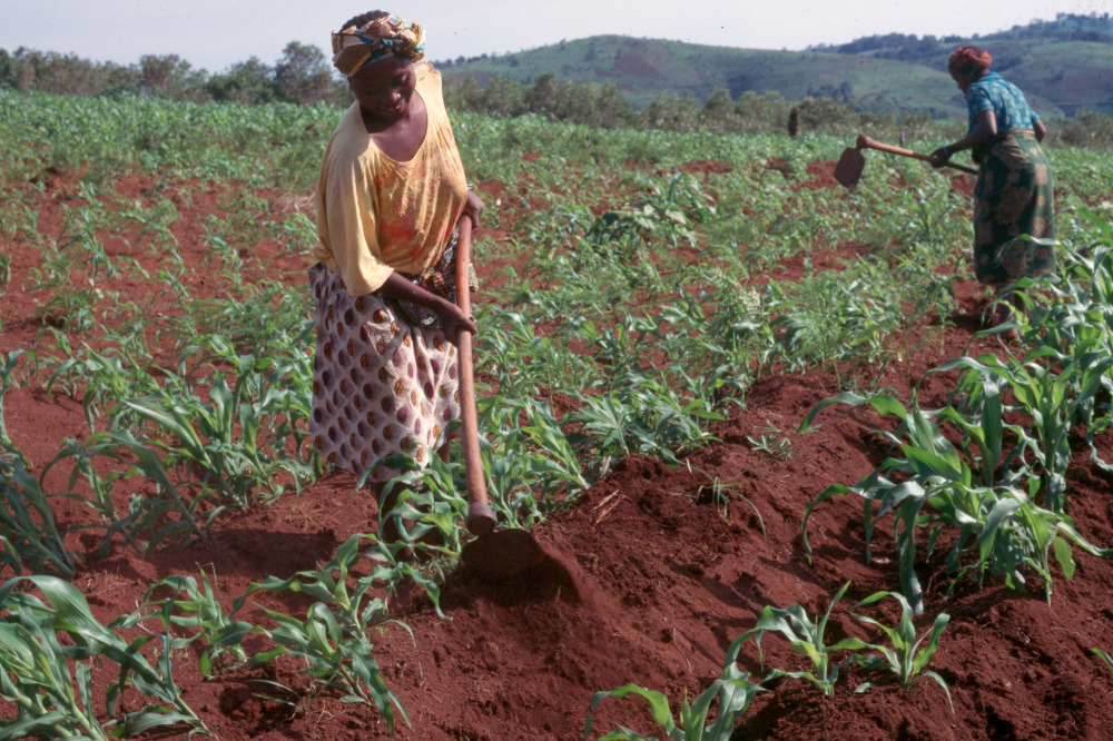 economic instruments such as subsidies and financial returns most decisions