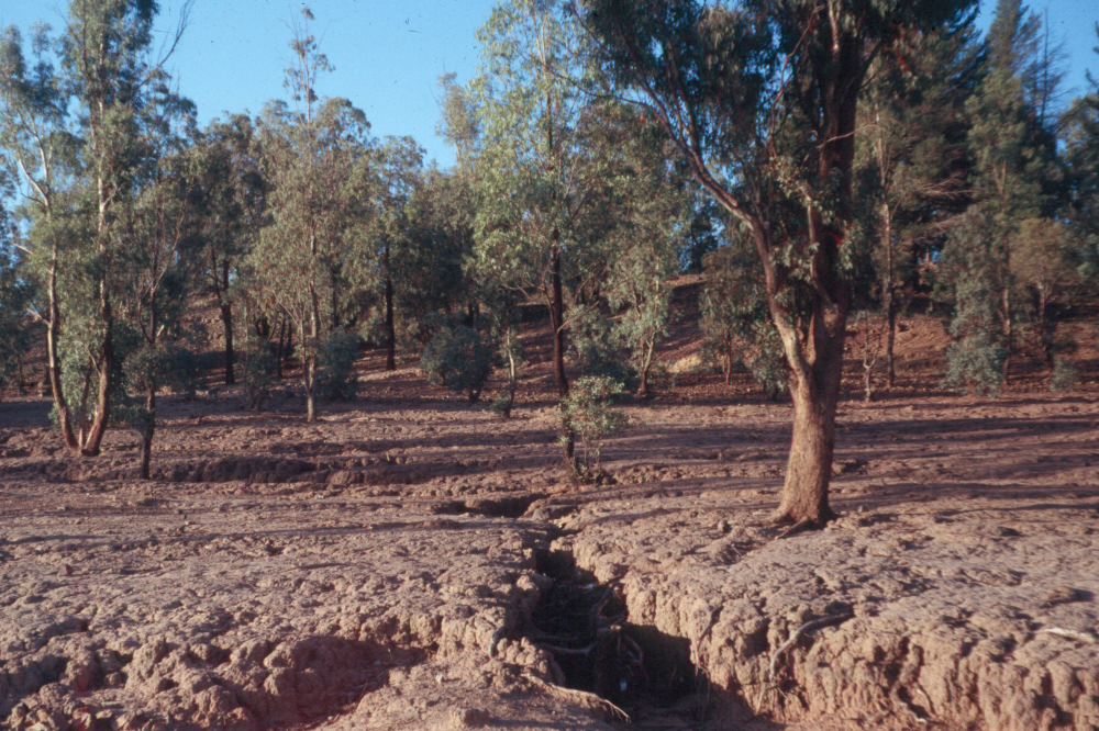 they can be used to ascertain general trends in land