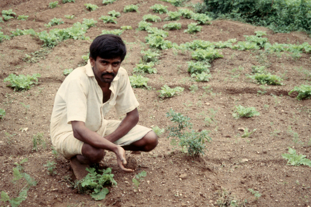 extensify production onto more marginal hillslopes and poor soils note
